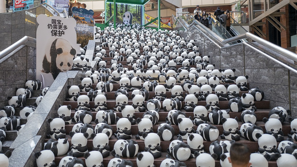 La "Exposición itinerante del panda gigante 1864" aterriza en Shanghai ...