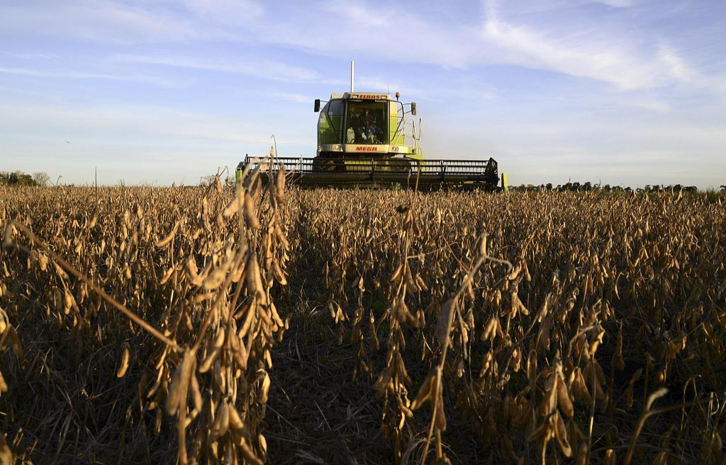 Exportaciones de soja argentina ascienden a 1.824 millones de dólares ...