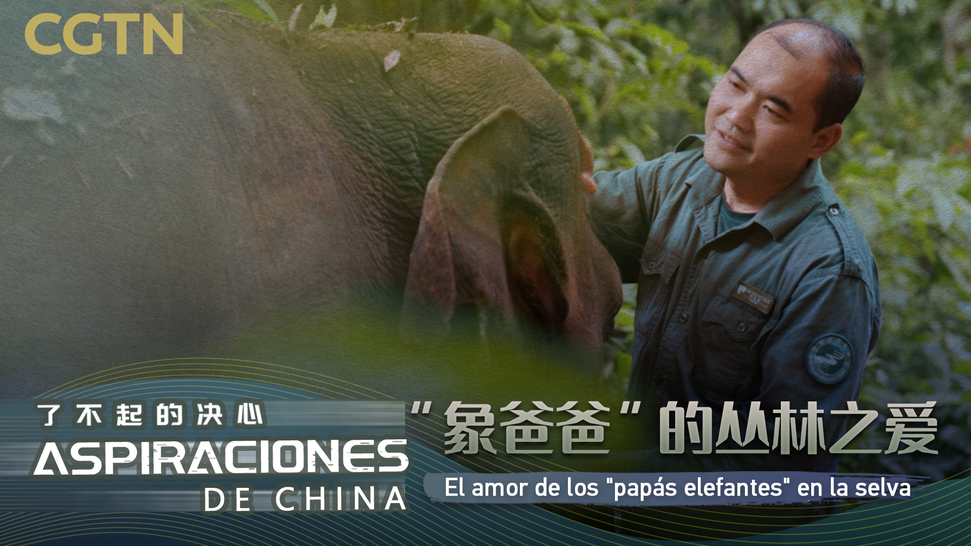 Aspiraciones de China - El amor de los "papás elefantes" en la selva ...