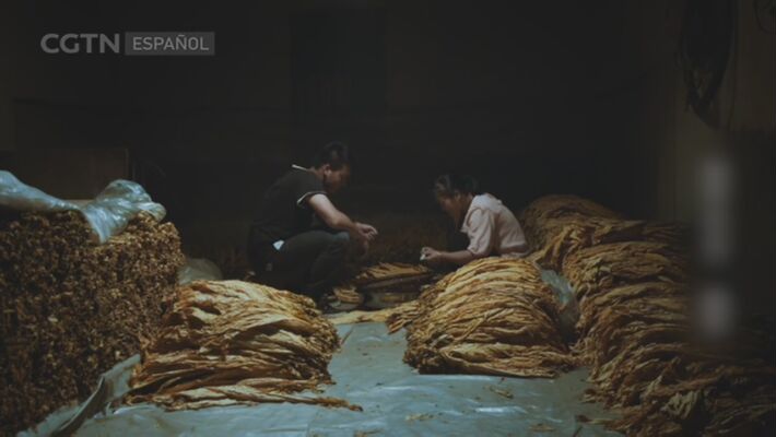 El legado: Temporada III Capítulo 2: El tejido del fuego - CGTN en Español