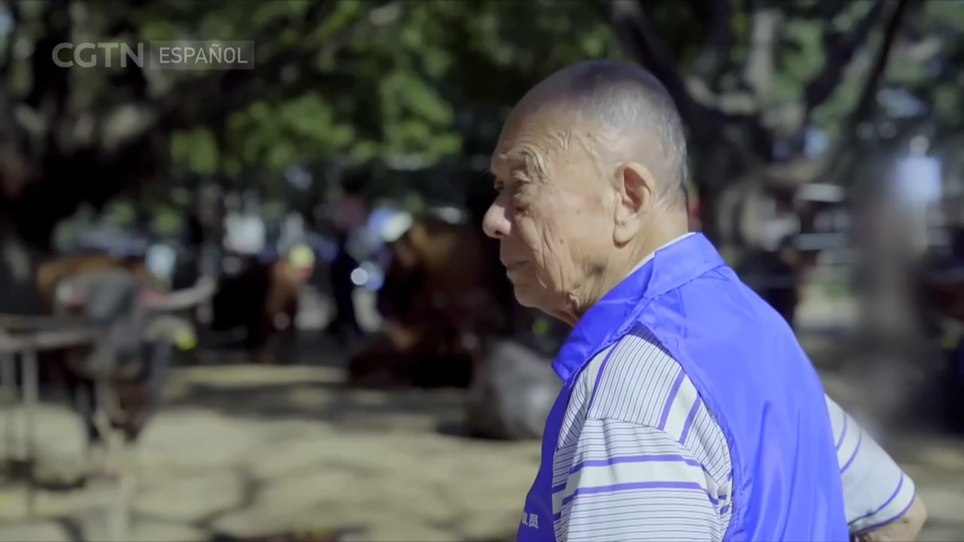 El legado: Temporada III Capítulo 4: El oficio de por vida - CGTN en Español