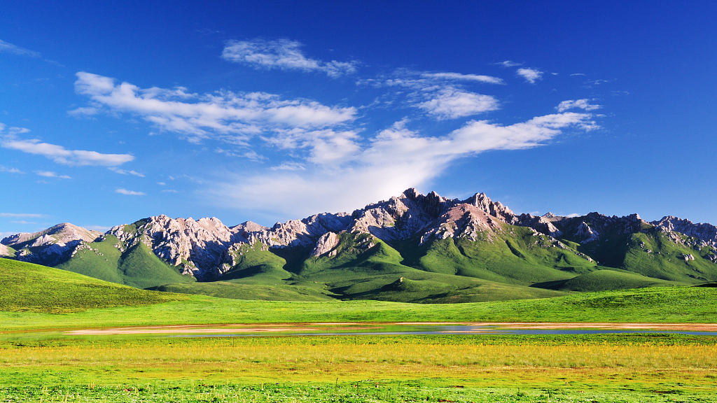 Descubiertas nuevas especies de Asplenium en la meseta Qinghai-Tíbet ...