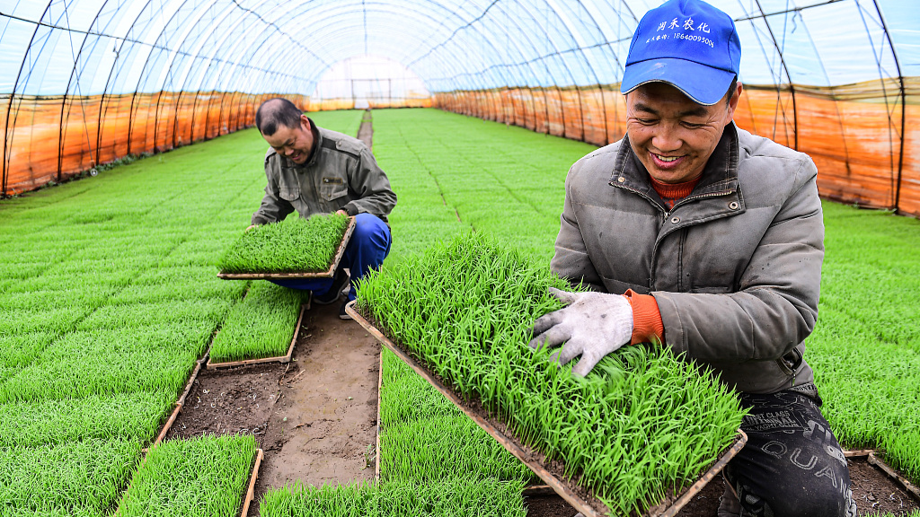 China fortalece apoyo financiero a la agricultura y las zonas rurales ...