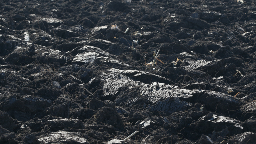 Investigadores diagnostican exhaustivamente las tierras negras en ...