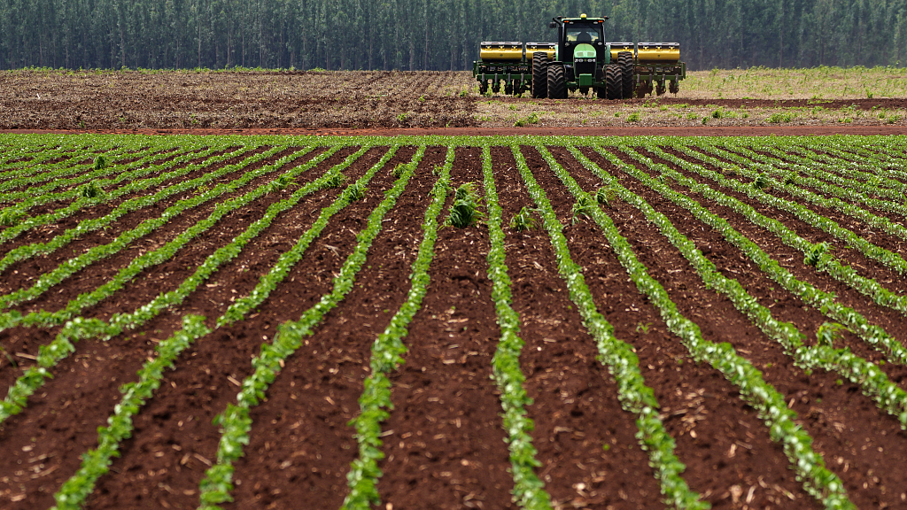 Exportaciones de agronegocio brasileño alcanzan valor récord en primer ...