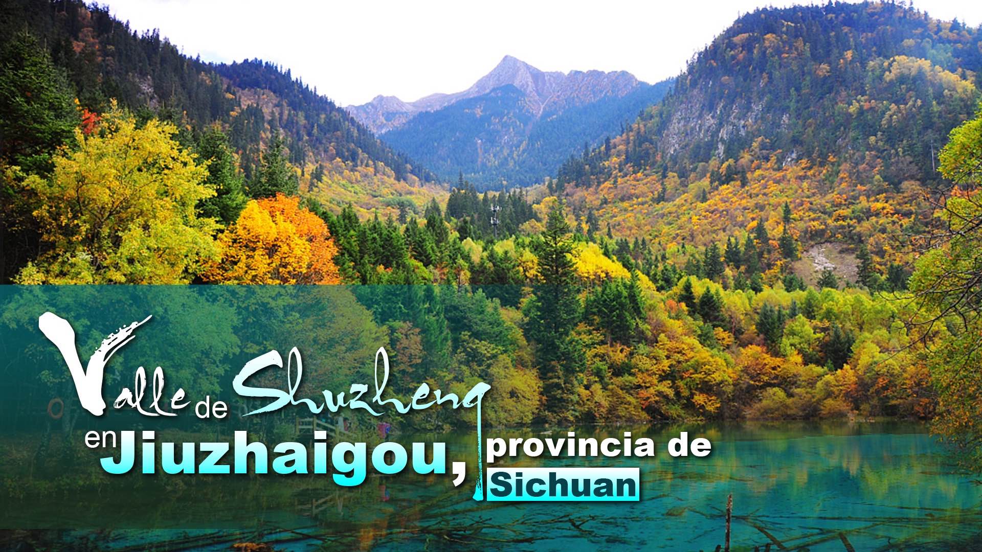 EN DIRECTO: Valle de Shuzheng en Jiuzhaigou, provincia de Sichuan ...