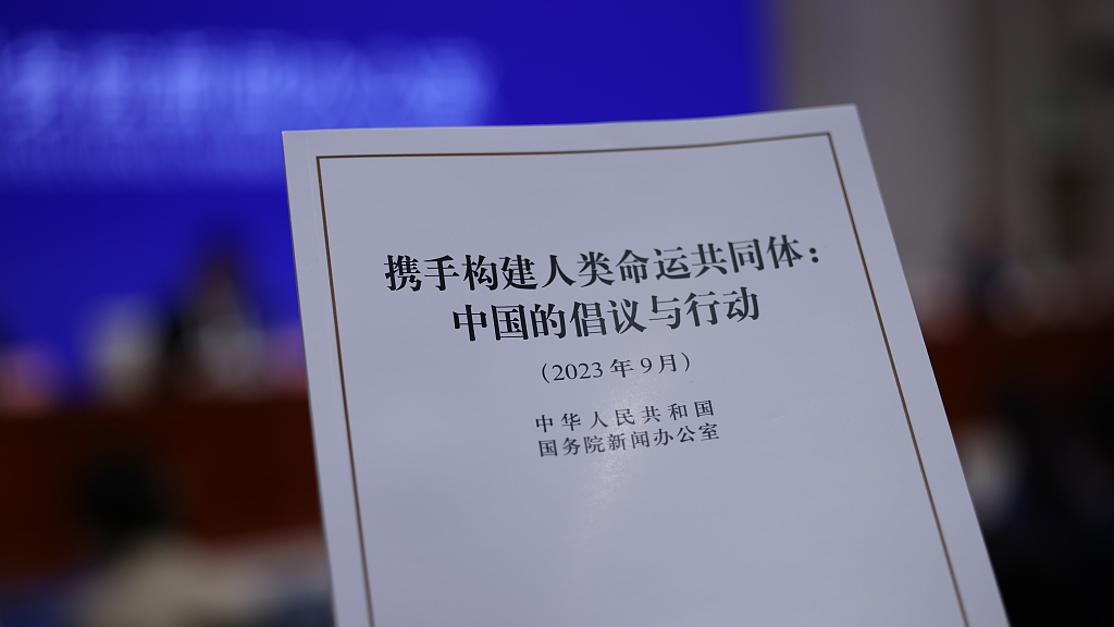 China publica libro blanco con propuestas y acciones - CGTN en Español