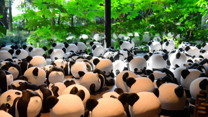 Se inaugura una exposición artística especial sobre los pandas en ...