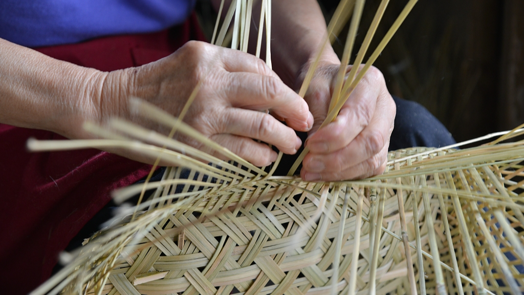 China promueve el bambú como alternativa ecológica al plástico - CGTN ...