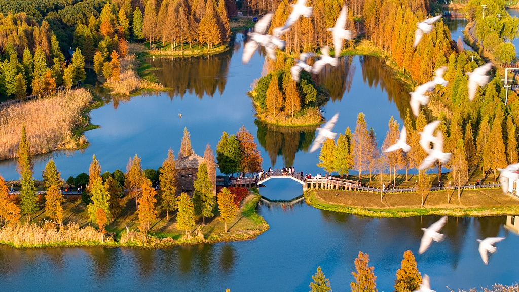 Parque Rural Qingxi de Shanghai alberga un rico ecosistema natural ...