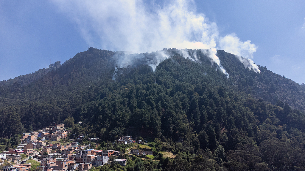 Incendios en Colombia: Más de 17.000 hectáreas calcinadas por incendios ...