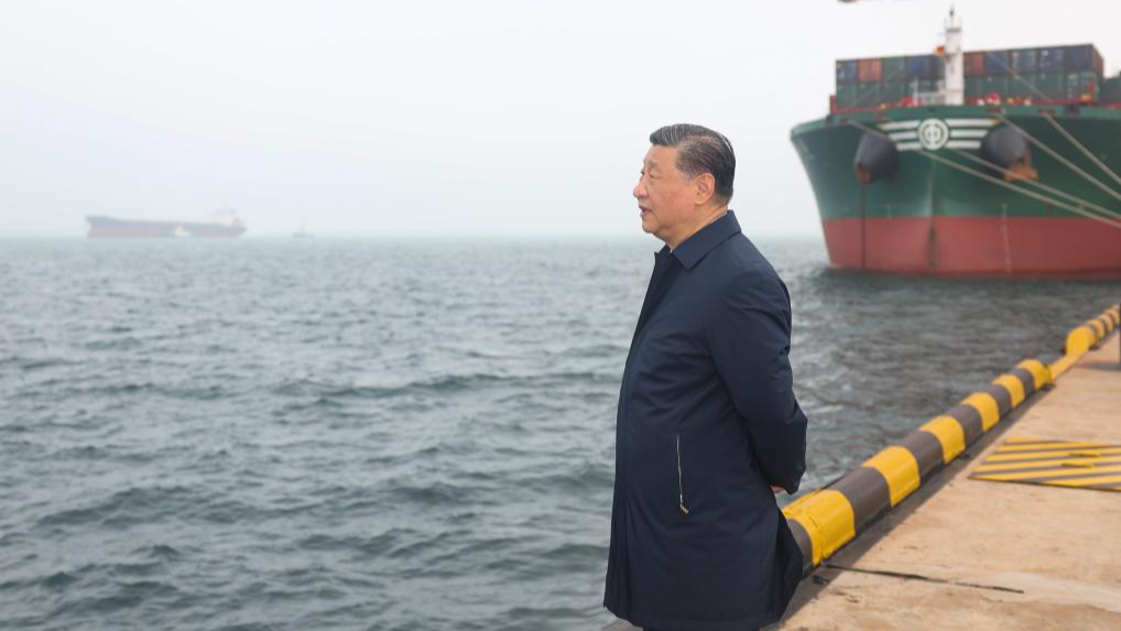 Xi Jinping insta a promover la modernización, el desarrollo ecológico y ...