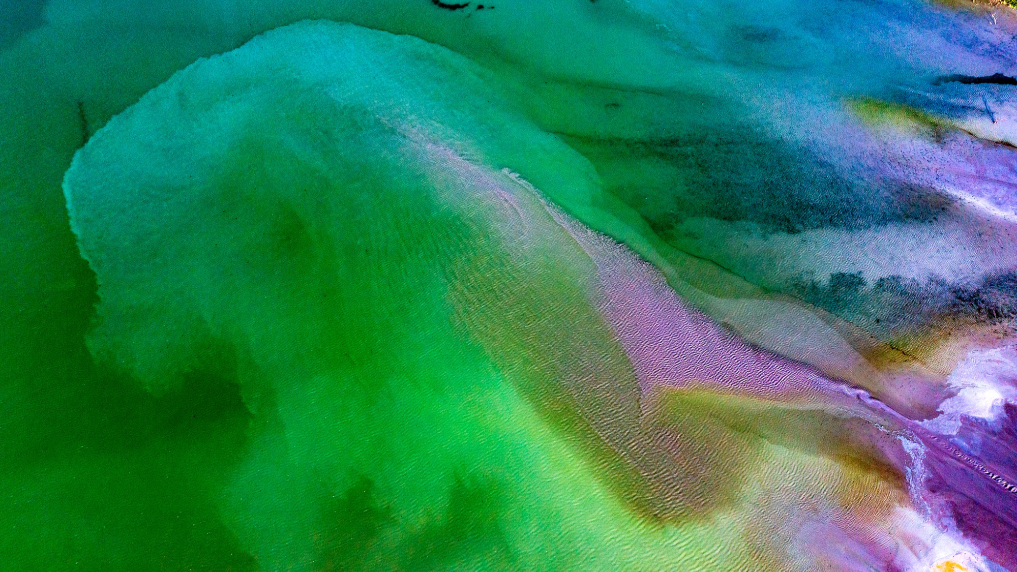 Paleta De Colores Azul Pavo Real Holbein Artist's Tubo De Acuarela